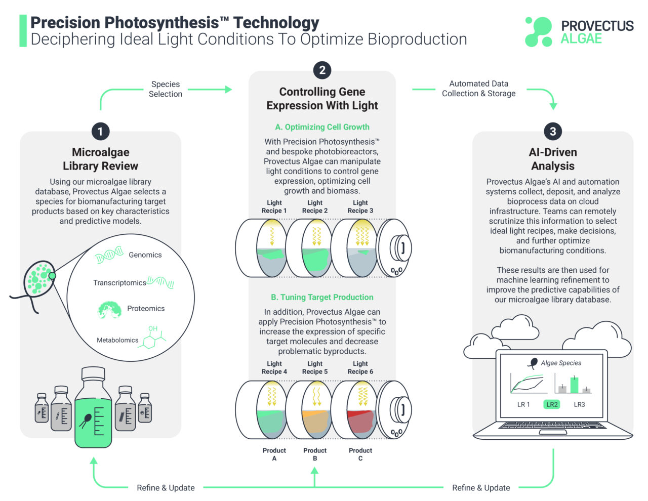 Precision photosynthesis – Milena V. Gavala | Curious G Design Studio